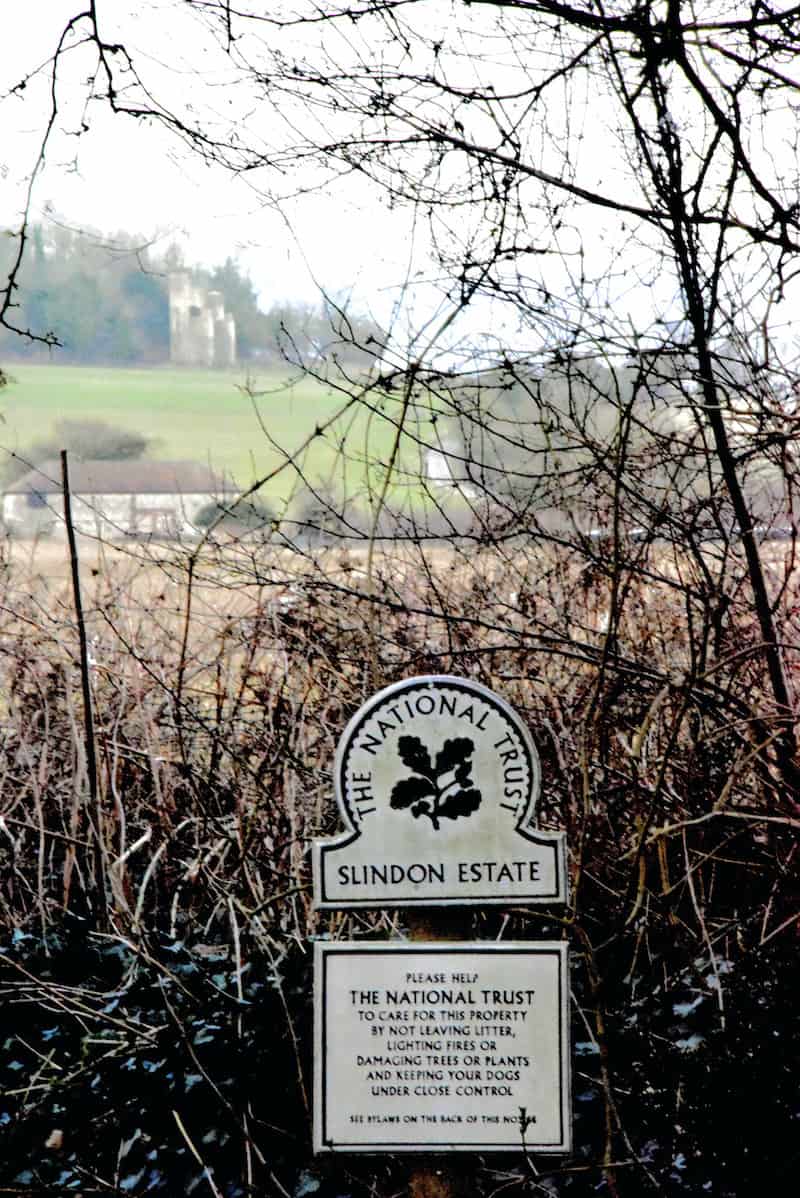 Bluebell Woods Near Arundel - VisitArundel.co.uk